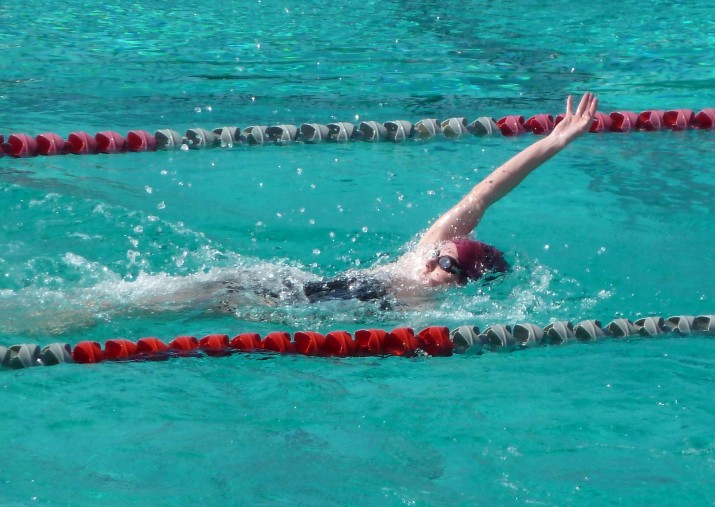 Julia Fish – ChapBook Magazine