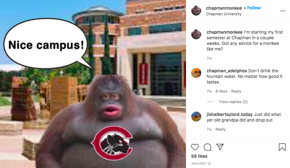 PARODY ACCOUNTS: THE JESTERS OF CHAPMAN POLITICS – ChapBook Magazine